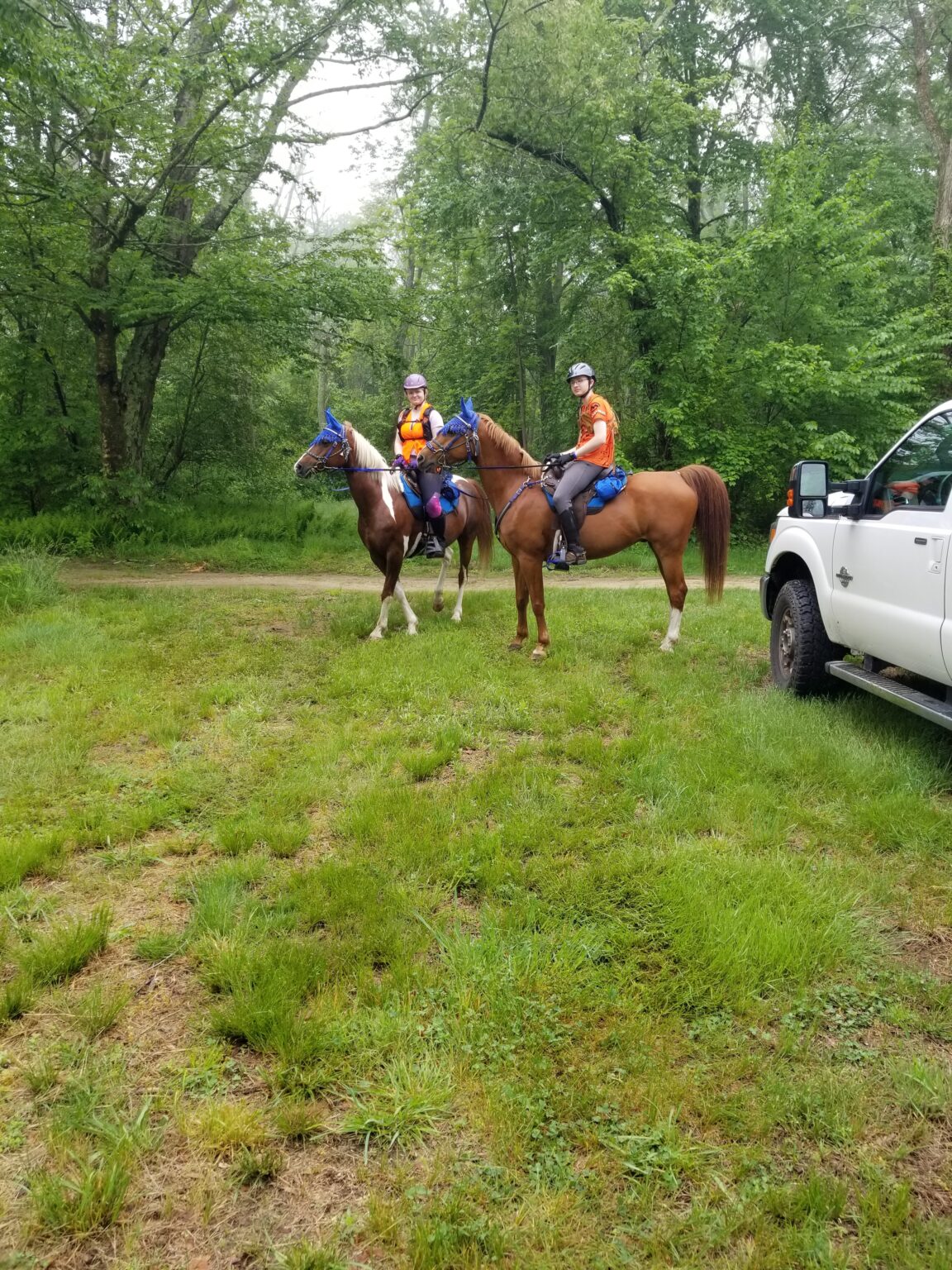 Sawyer Family Farm | The story of our lives with horses