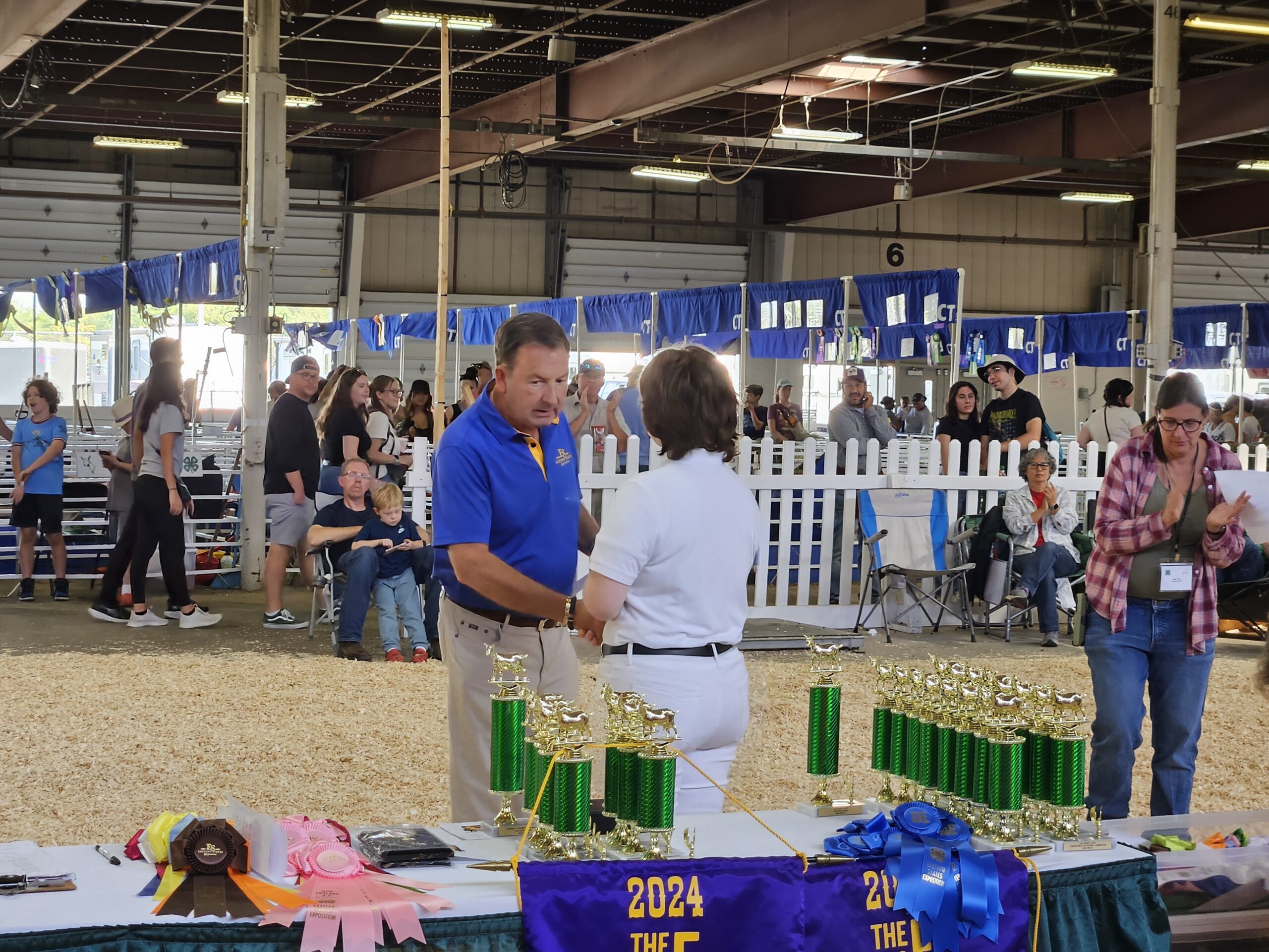 Sawyer Family Farm | The story of our lives with horses. And goats.