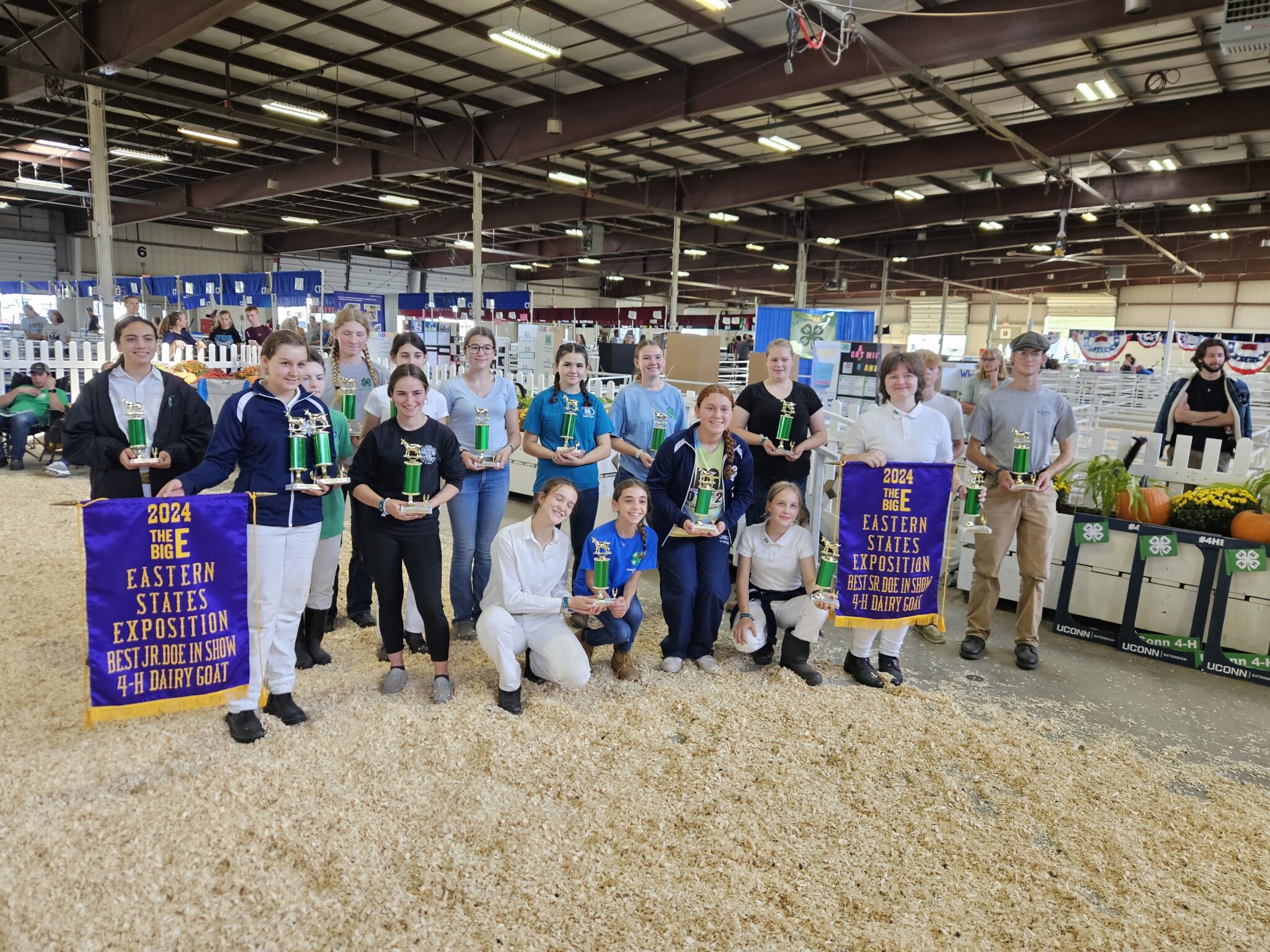 Sawyer Family Farm | The story of our lives with horses. And goats.